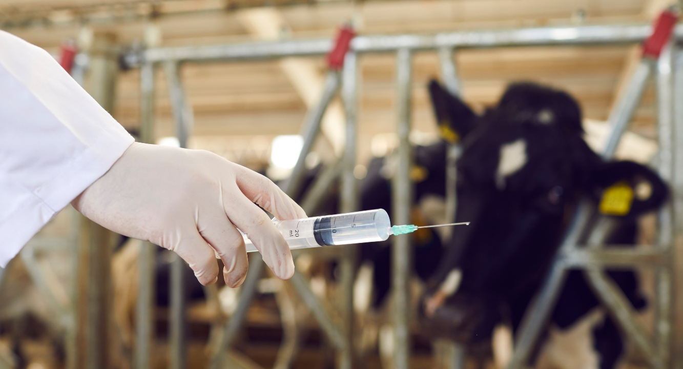 El Senasa sigue sumando nueva tecnología para erradicar la fiebre ...