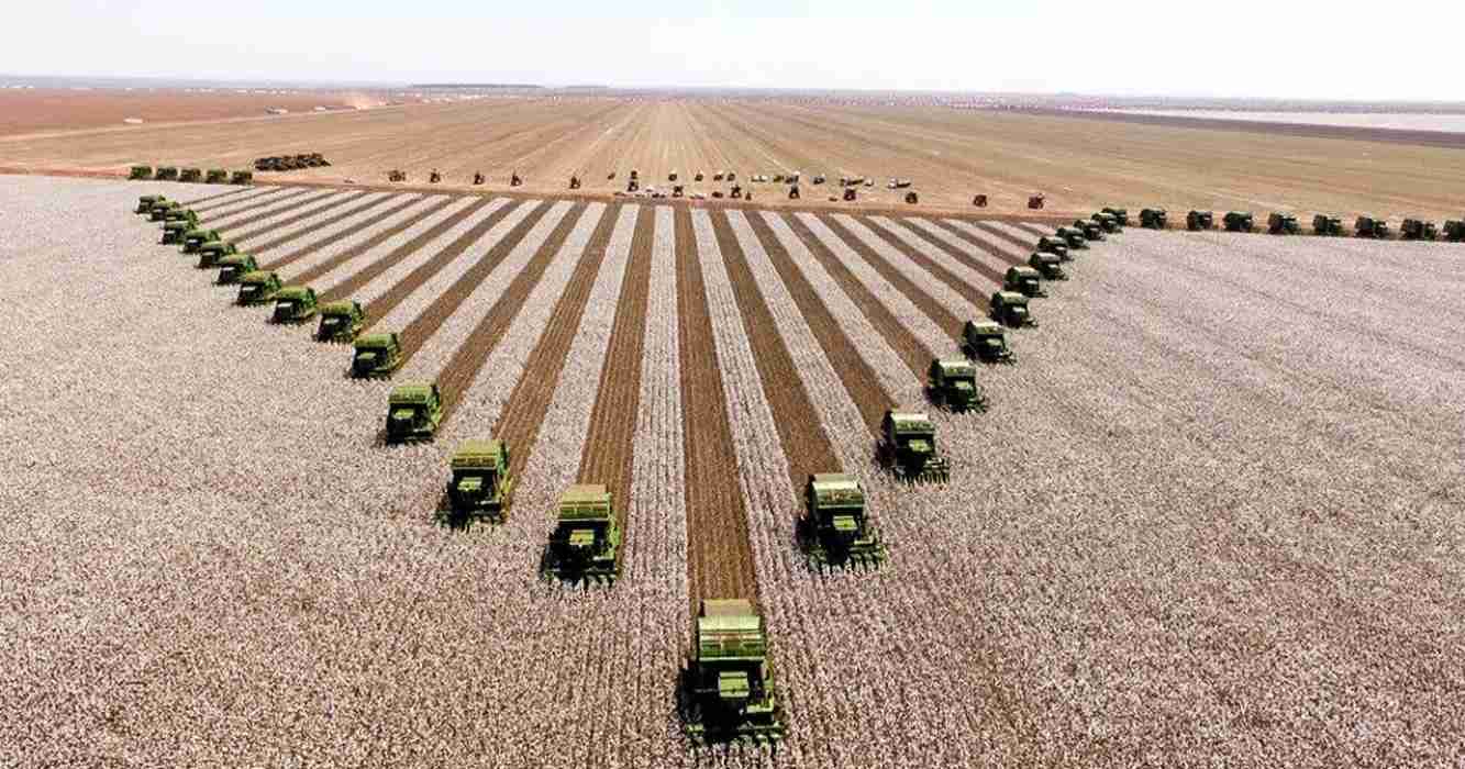 10,1 millones de hectáreas: así es el campo más grande del mundo ...