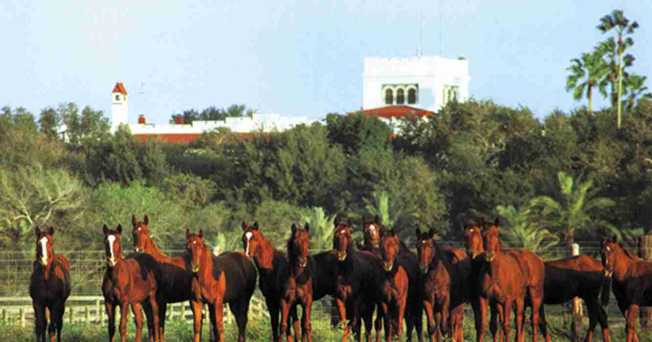 King Ranch: el gigante de la ganadería con un legado indiscutido en ...