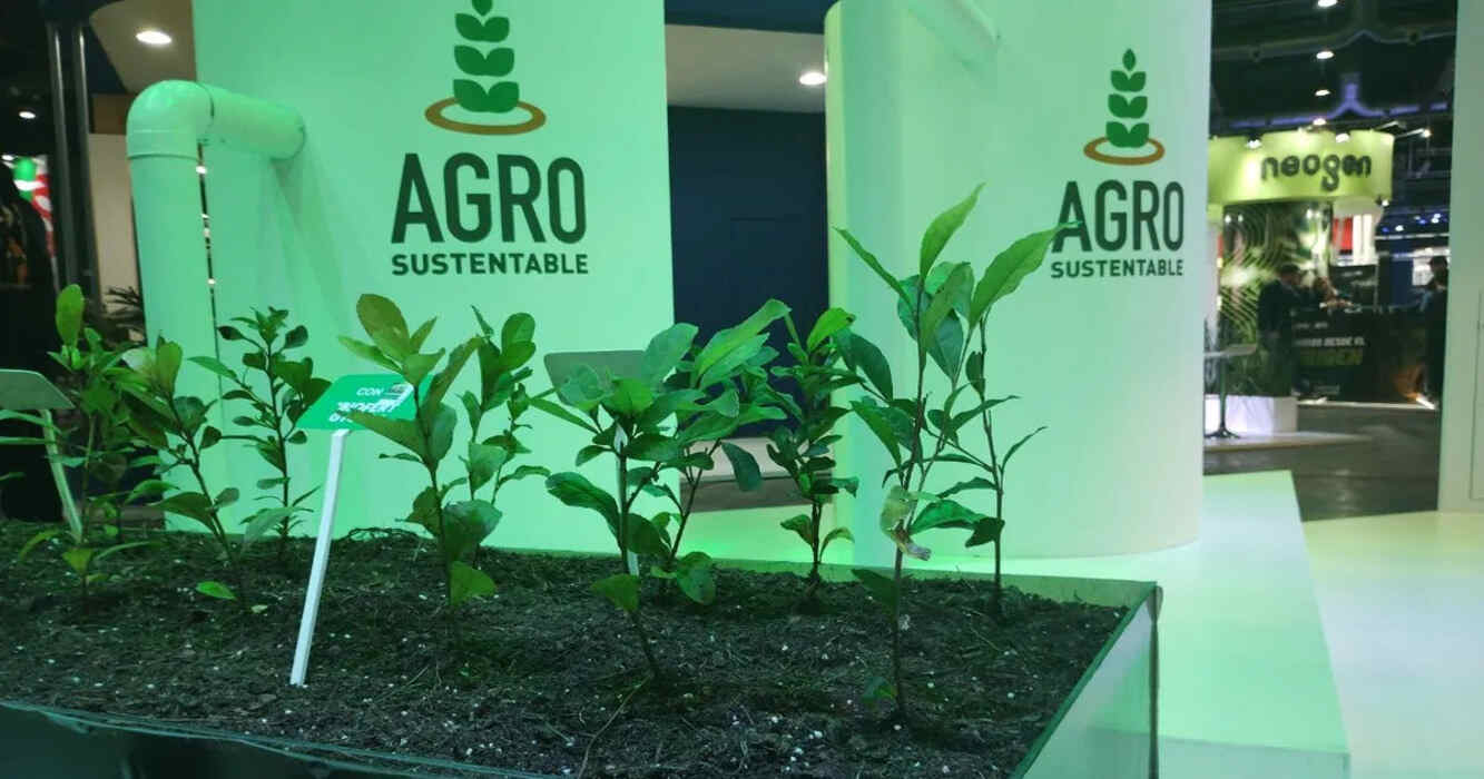 Agro Sustentable presentó Biofert ST, su nuevo bioestimulante