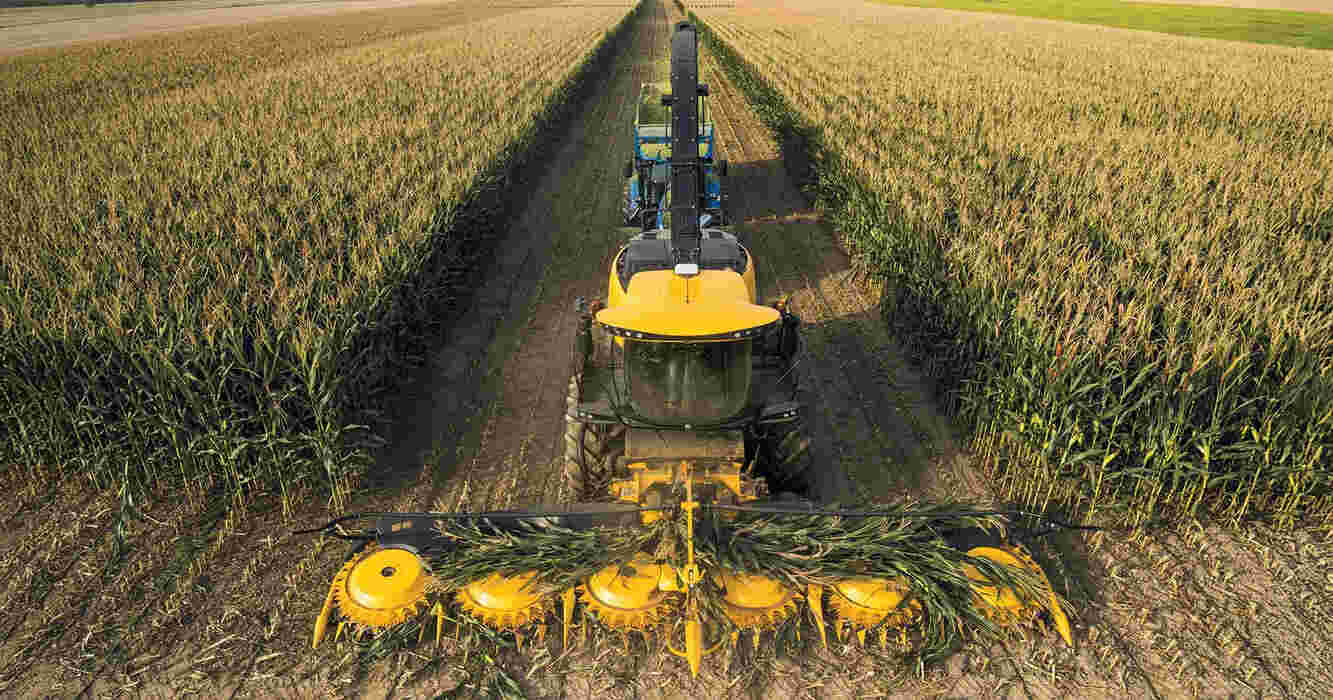 New Holland presentó ForageCam™ para el picado de maíz